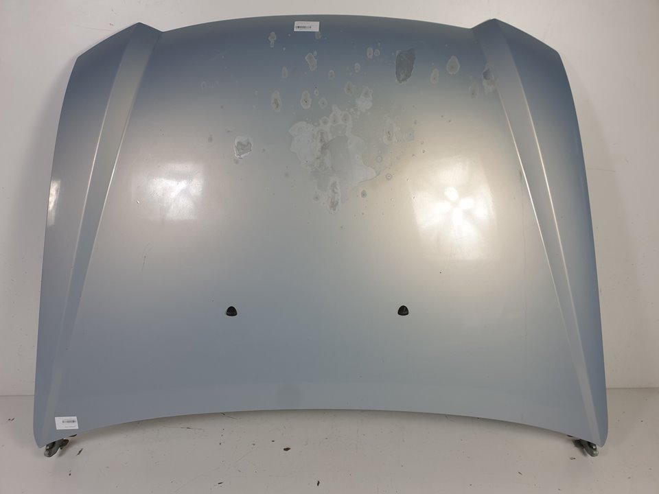 Hood FIAT STILO (192_) 1.9 JTD (192_XE1A) 9515730 | B-Parts