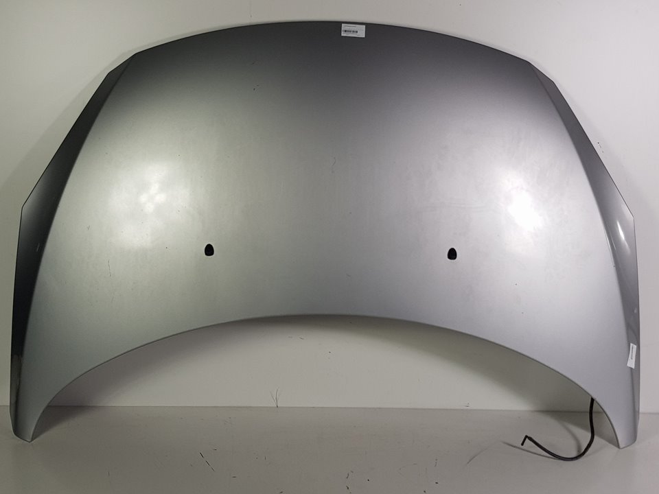 Hood PEUGEOT 307 (3A/C) 10006668 | B-Parts