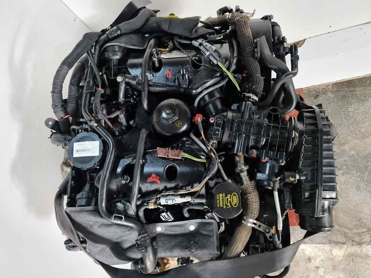 Engine LAND ROVER DISCOVERY III (L319) 2.7 TD 4x4 7226729 | B-Parts