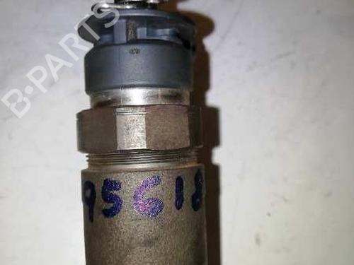 Injector PEUGEOT 206 Hatchback (2A/C) 1.4 HDi eco 70 12542468 | B-Parts